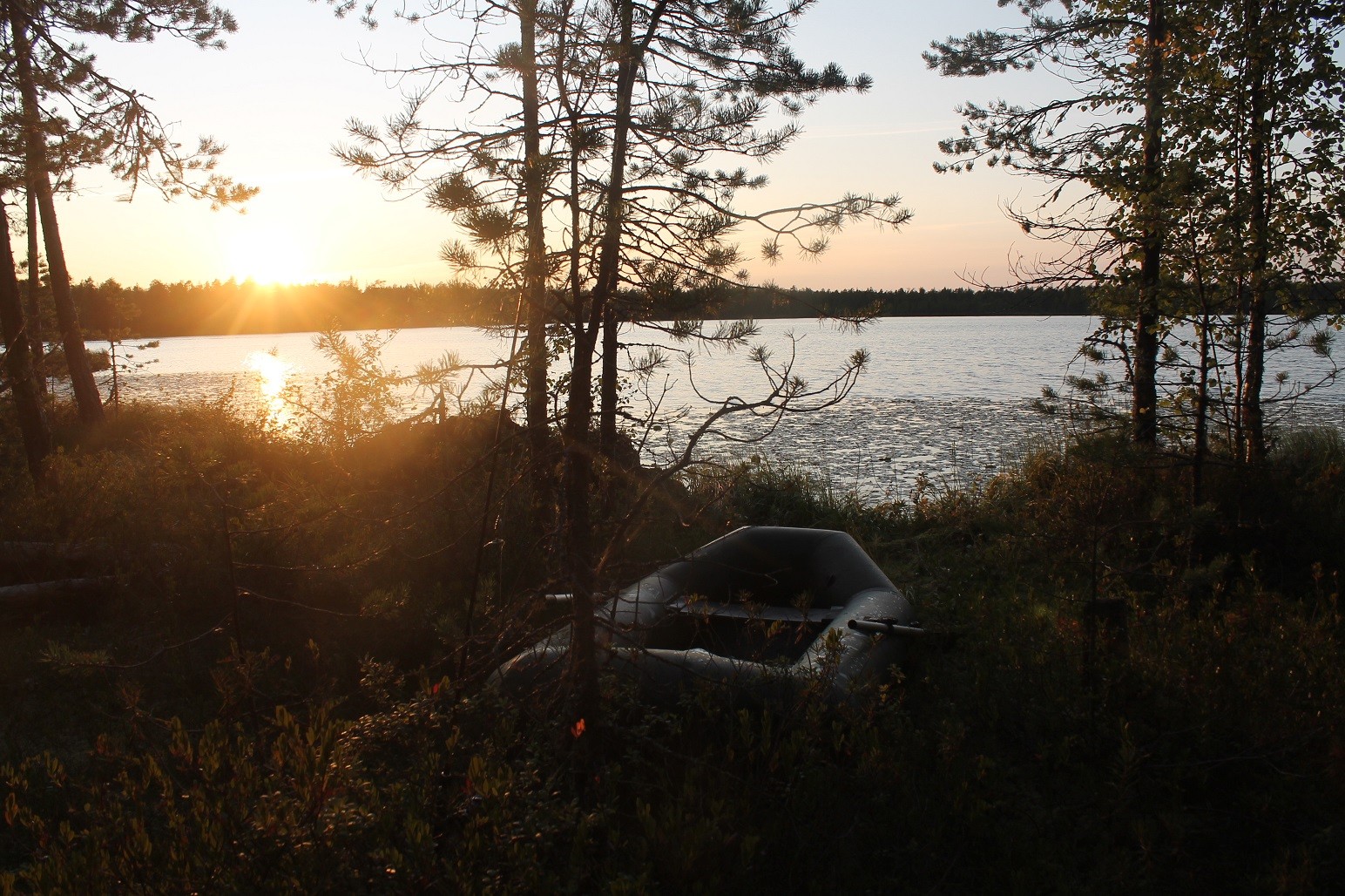 Картинка - MoiFotki.org